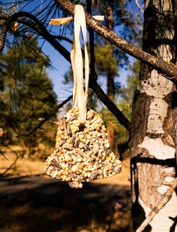 Cookie cutter bird feeders with corn syrup recipes - Uncategorized