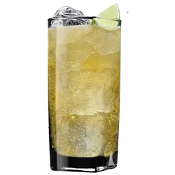 Jack daniels tennessee fire and ginger ale recipes - Uncategorized