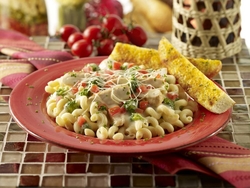 Mac and cheese with jarred alfredo sauce recipes - Baked macaroni and ...